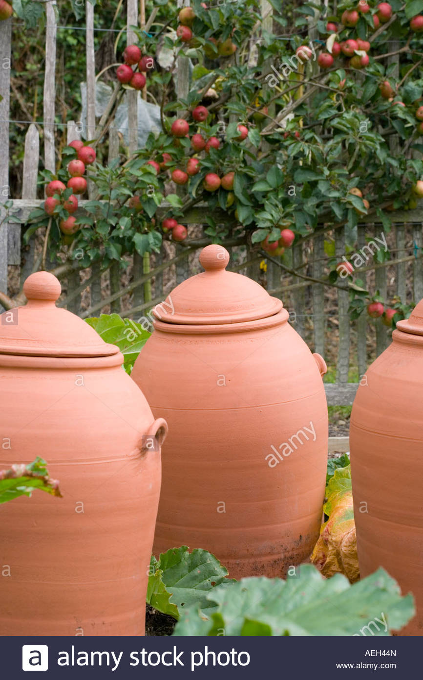 Rhubarb Forcing Pots Stock Photos & Rhubarb Forcing Pots Stock Images ...