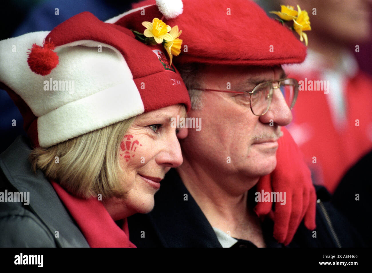 Welsh rugby fans at a Wales international match in the Millennium ...