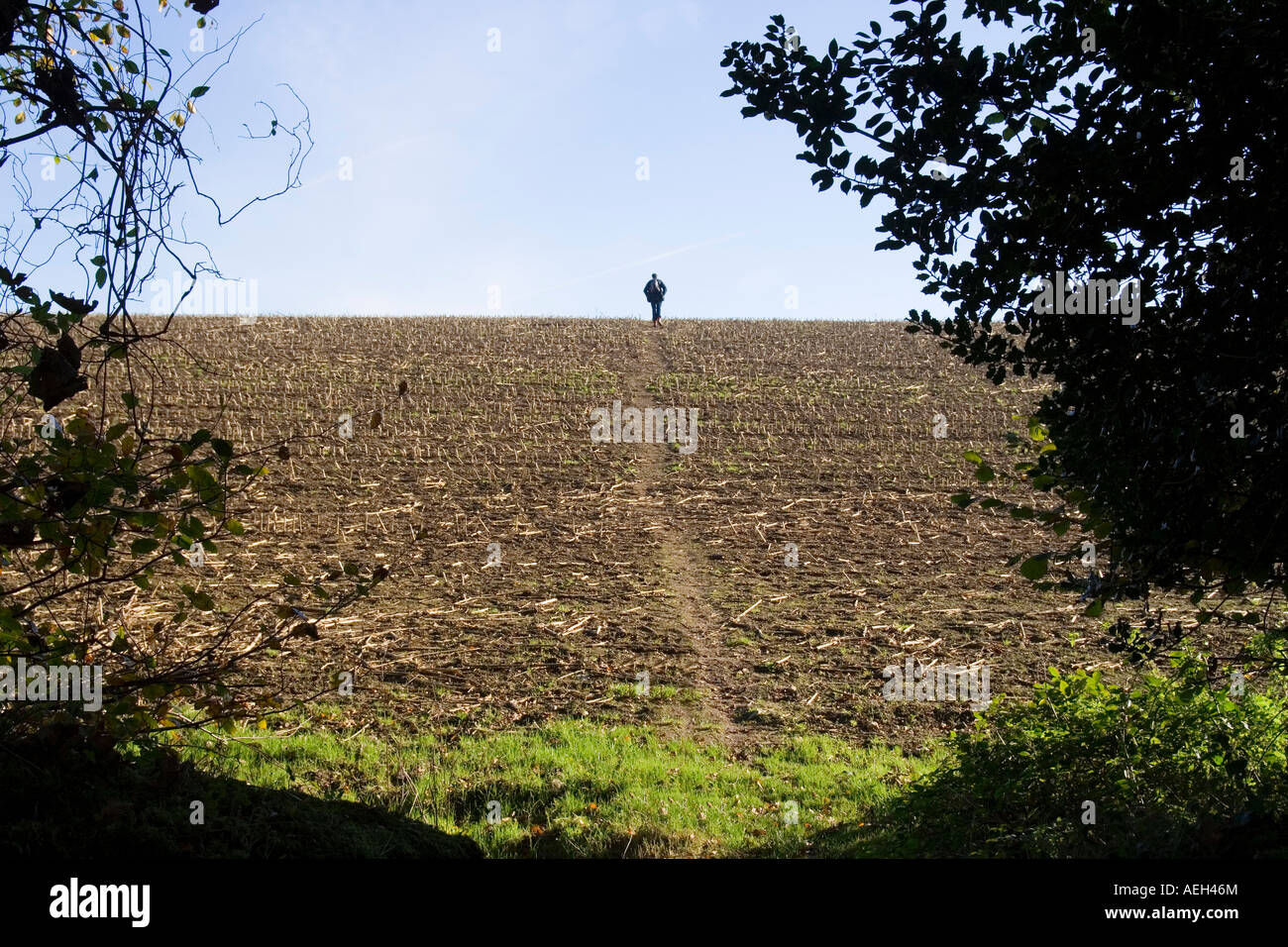 man walking across ploughed agricultural field Stock Photo - Alamy