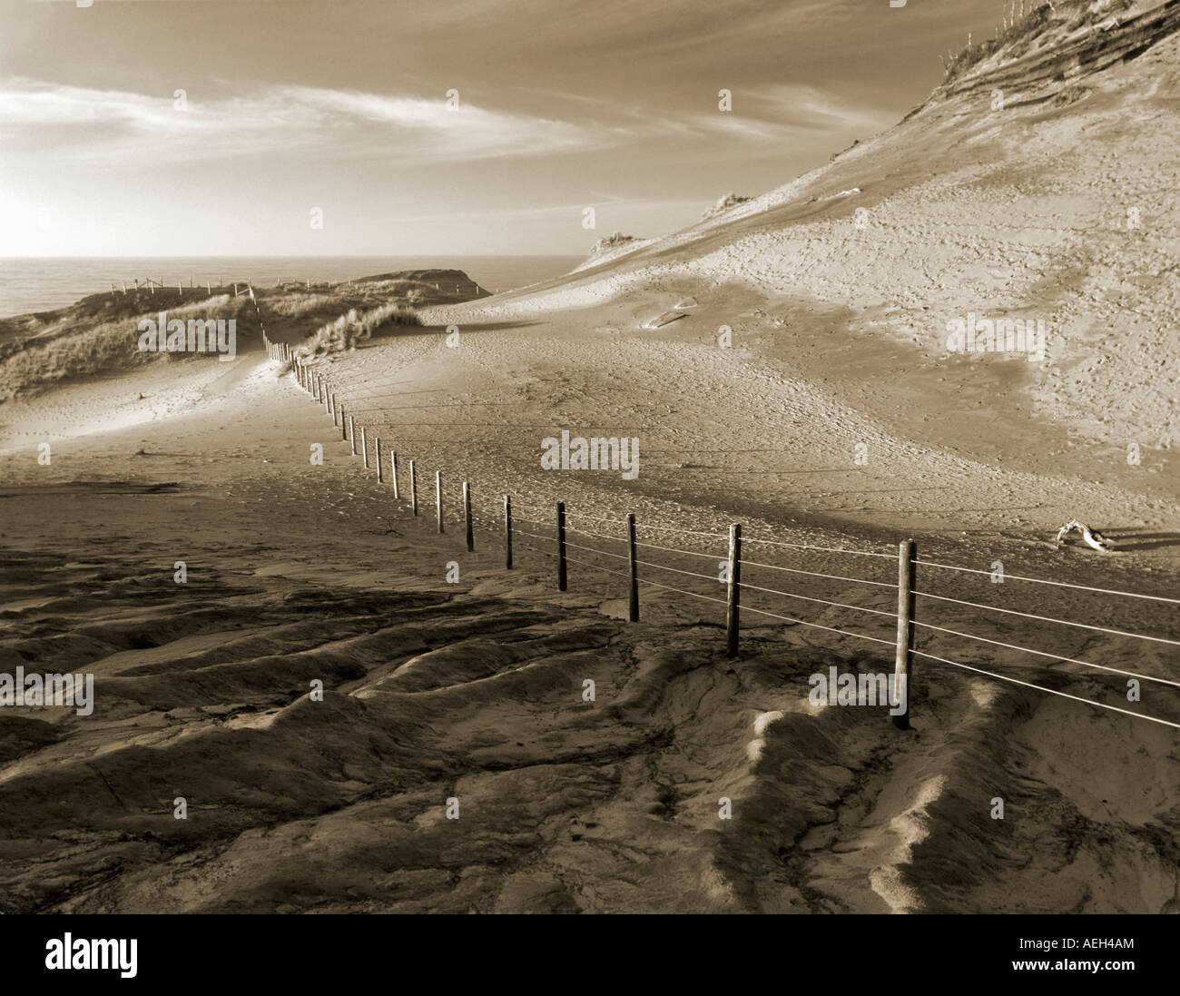 Fence line and ocean at Cape Kiwanda Oregon Stock Photo - Alamy