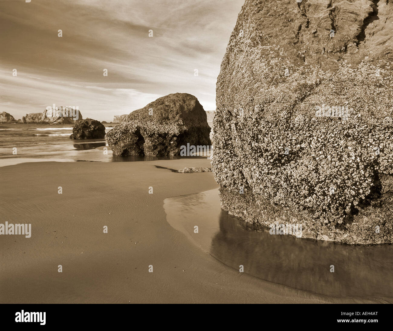 Low tide pools at Bandon Beach Oregon Stock Photo - Alamy