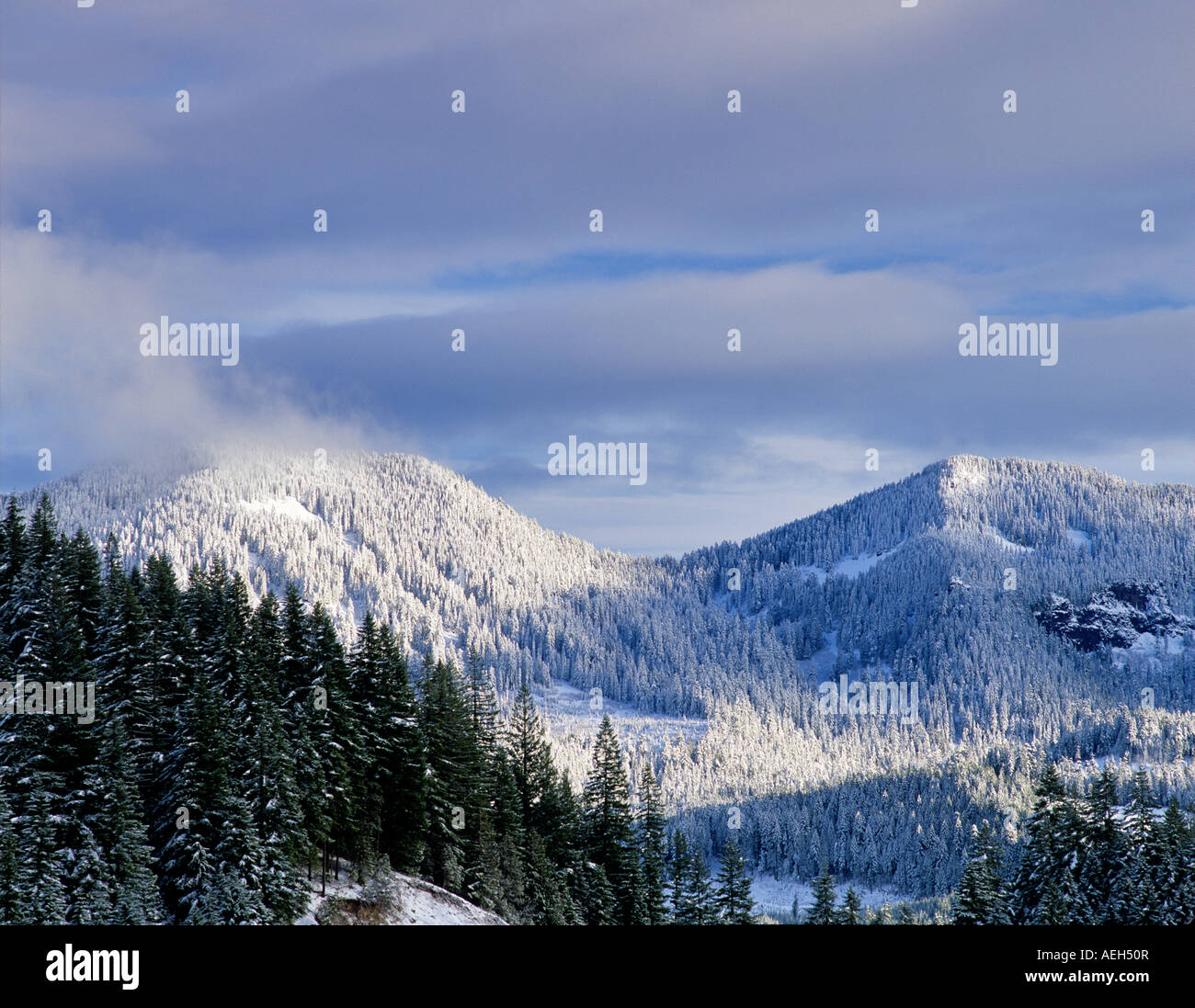 Cascade Mountains with snow Santiam Highway Oregon Stock Photo - Alamy