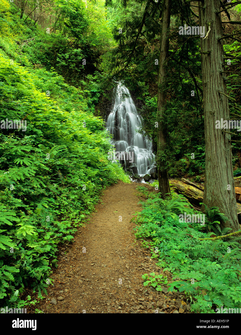 Brooks falls trail hi-res stock photography and images - Alamy