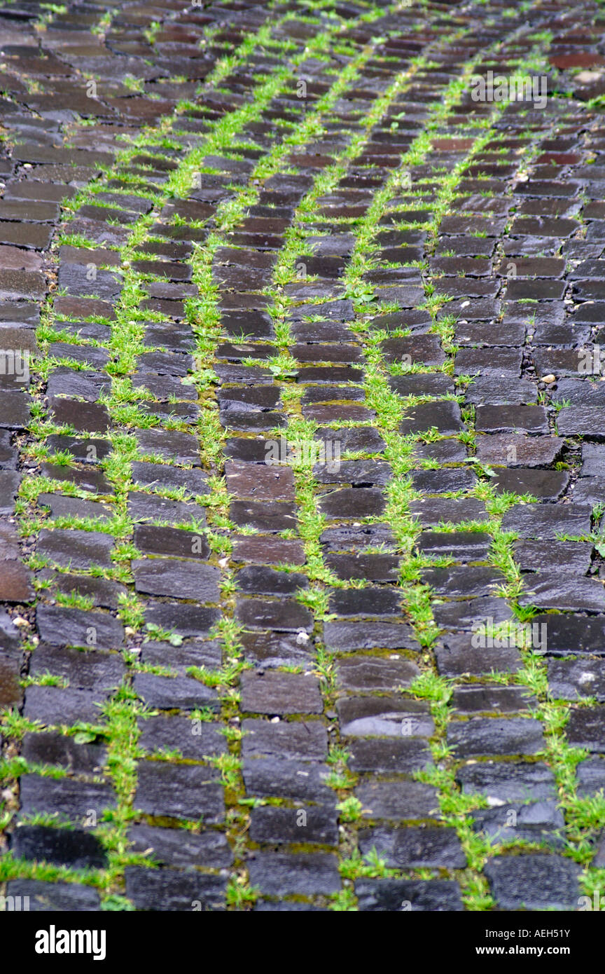 Stone cobble pavement road growing grass pattern Banska Stiavnica ...