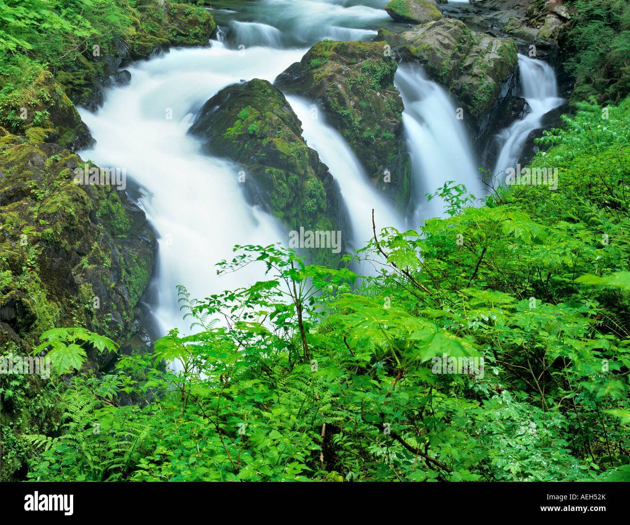 Sol Duc Falls Olympic National Park Washington Stock Photo - Alamy