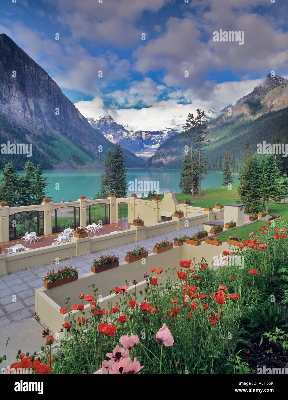 Flowers in garden at Lake Louis Banff National Park Canada Stock Photo ...