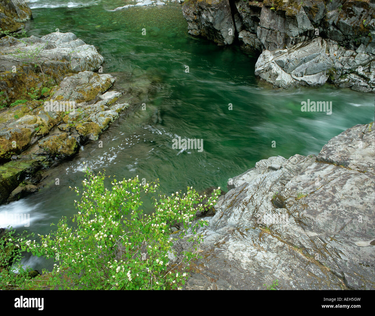 Quartzville Stock Photos & Quartzville Stock Images - Alamy