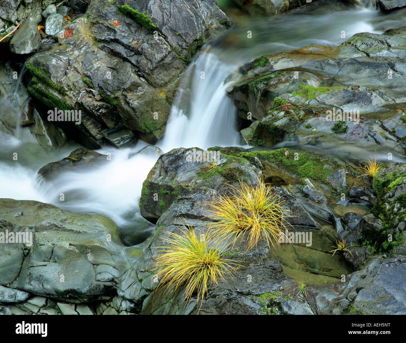 Quartzville Stock Photos & Quartzville Stock Images - Alamy