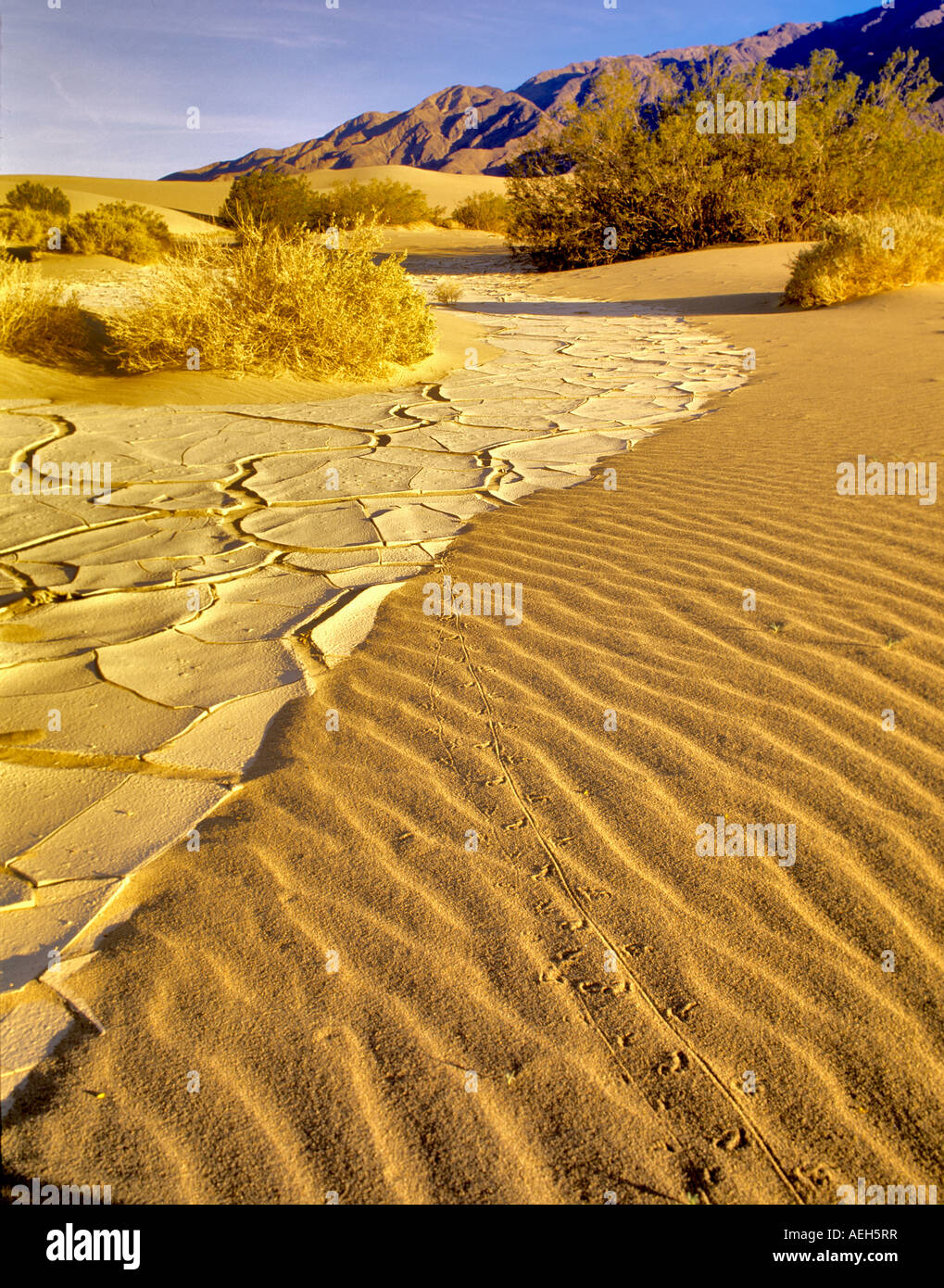 Dried mud patterns in Death Valley National Park California Stock Photo ...