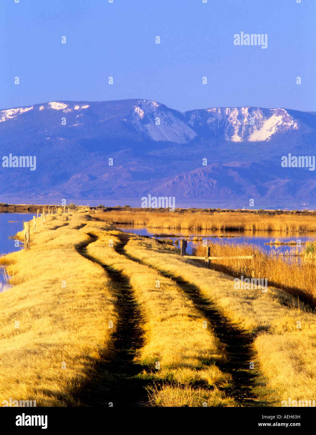 Road in grass with snow covered Winter Rim Summer Lake State Wildlife ...