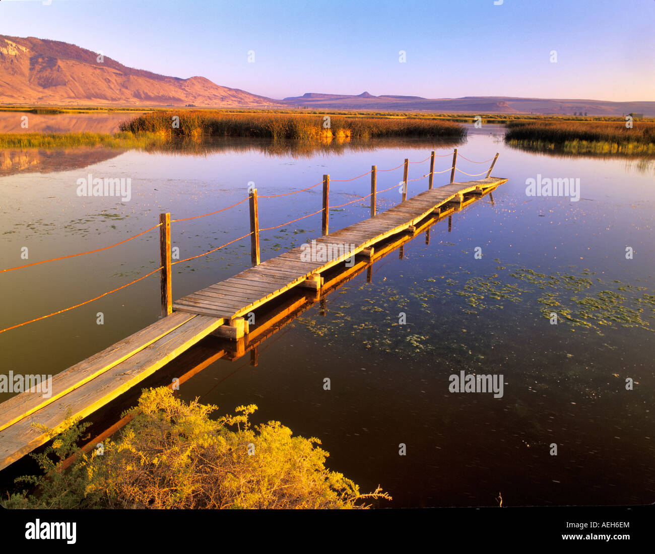 Observation dock into bird pond Summer Lake State Wildlife Refuge ...