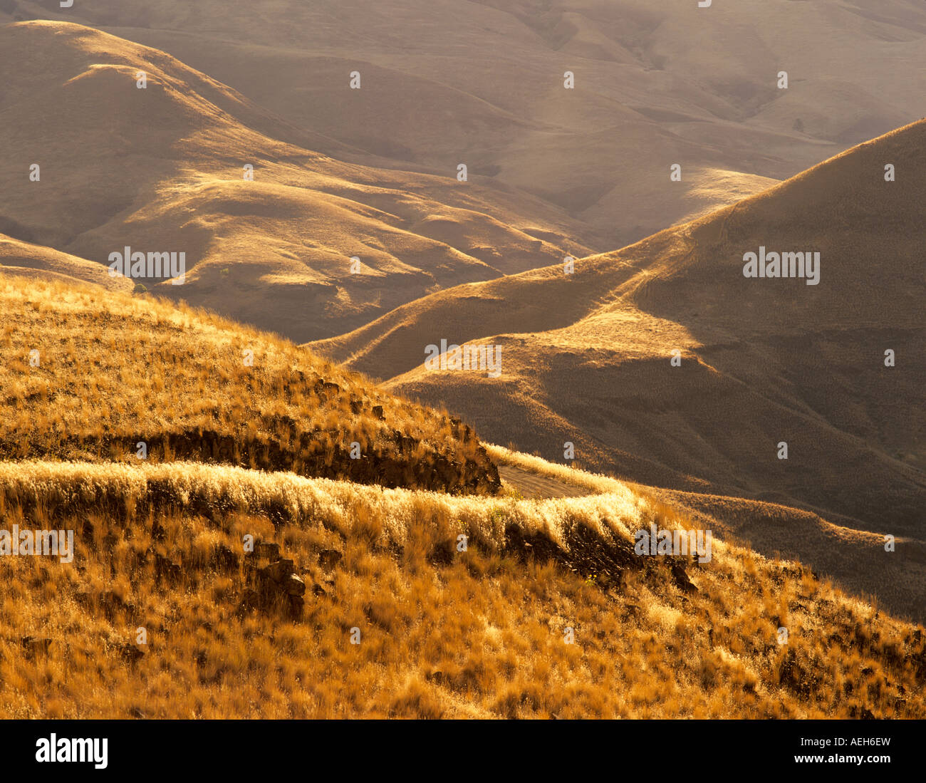 Imnaha River High Resolution Stock Photography and Images - Alamy