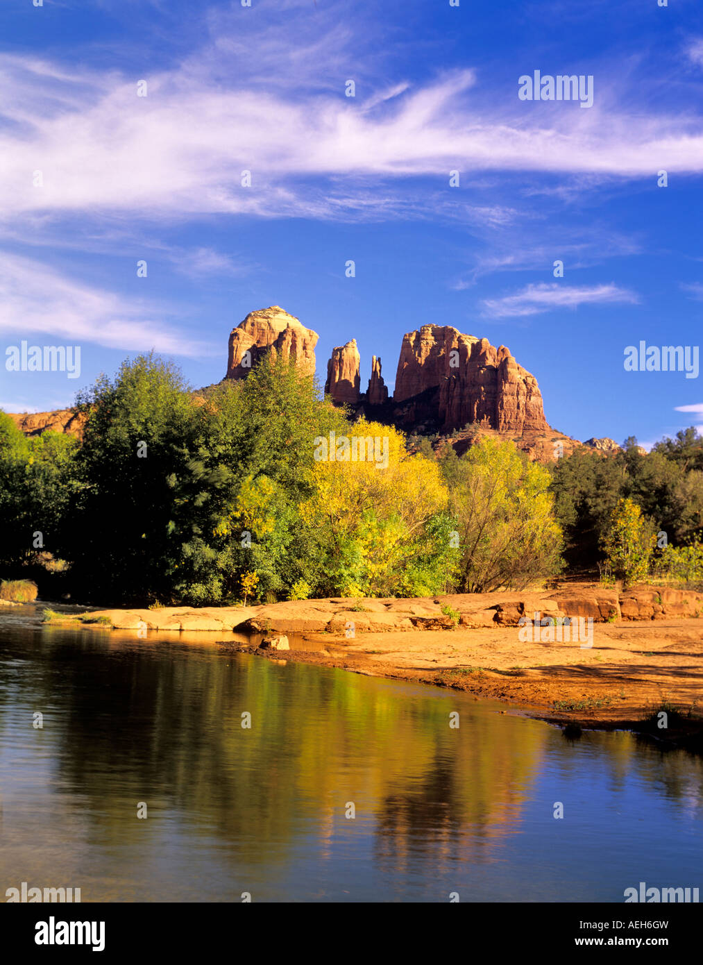 Oak trees reflected in river hi-res stock photography and images - Alamy
