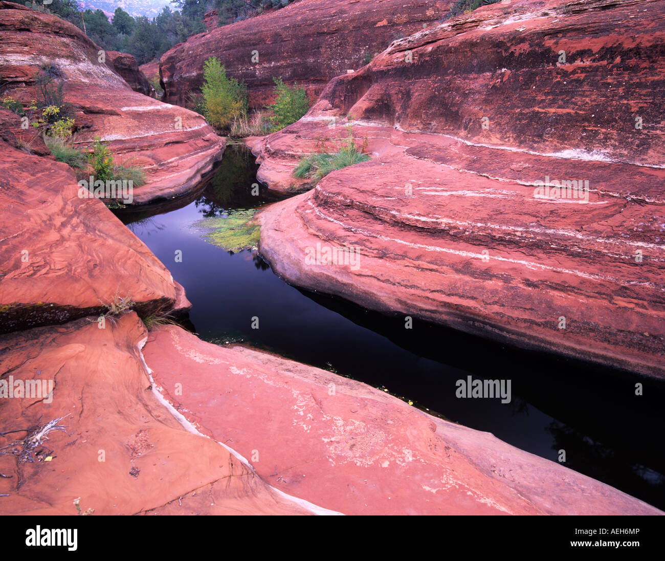 Ponds reflect reflection stone hi-res stock photography and images - Alamy