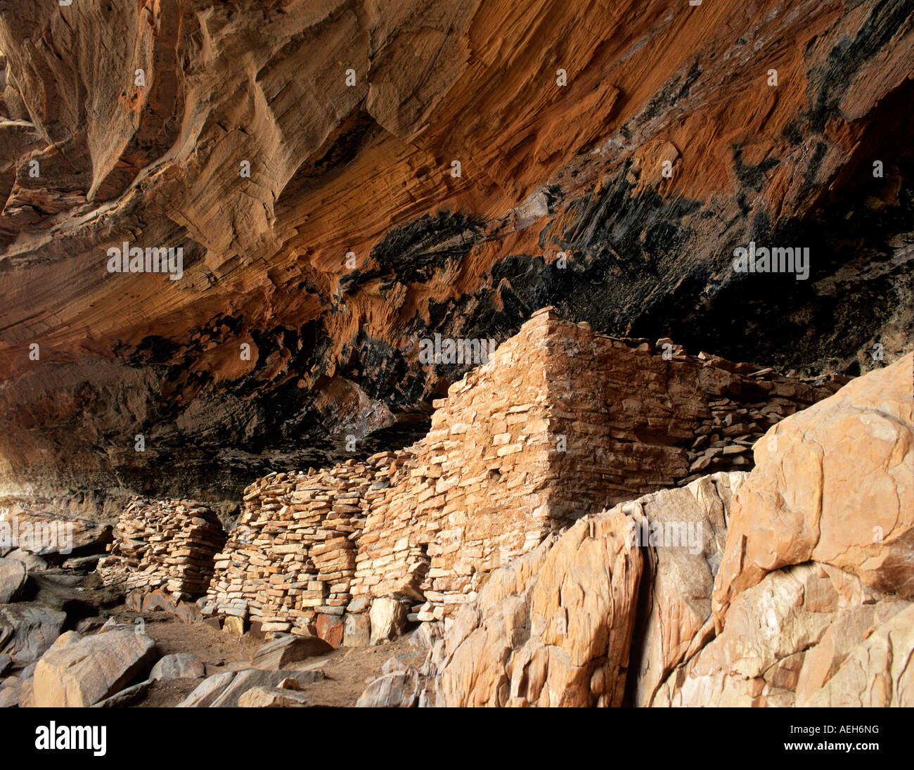 Red rocks secret mountain wilderness hi-res stock photography and ...