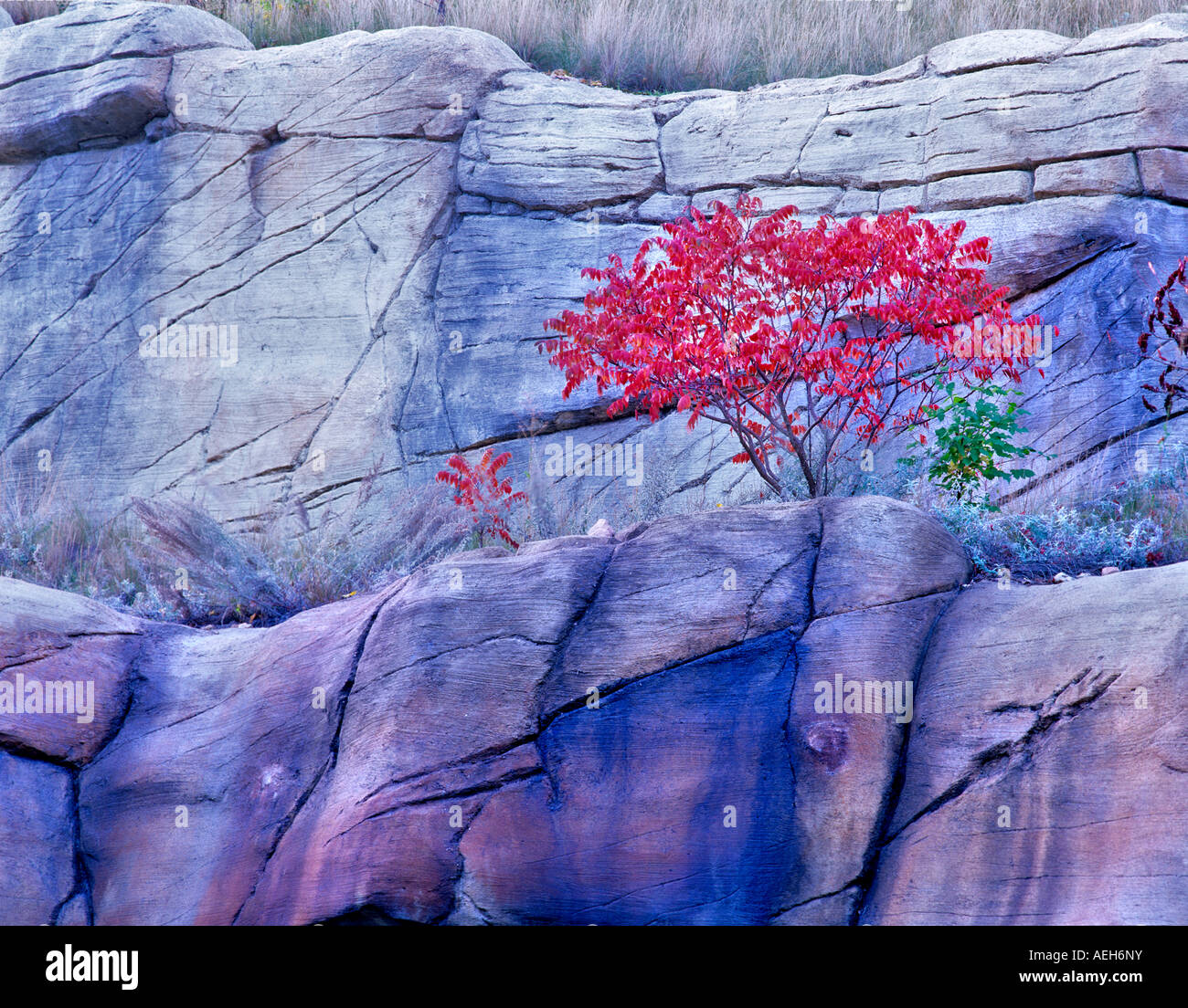 Red rocks secret mountain wilderness hi-res stock photography and ...
