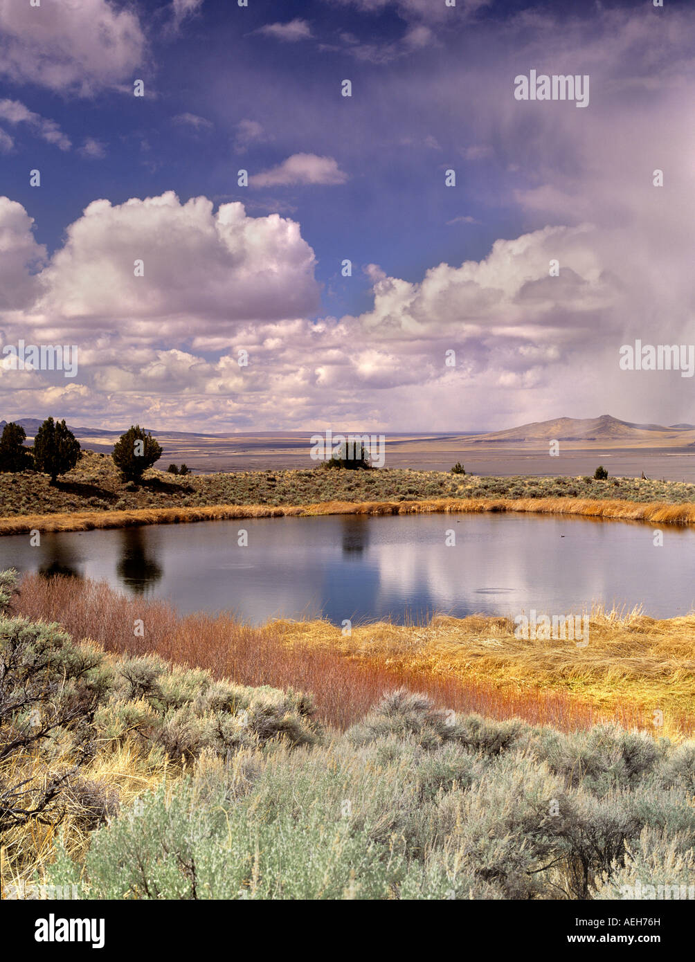 Small pond on Hart Mountain Oregon Stock Photo - Alamy