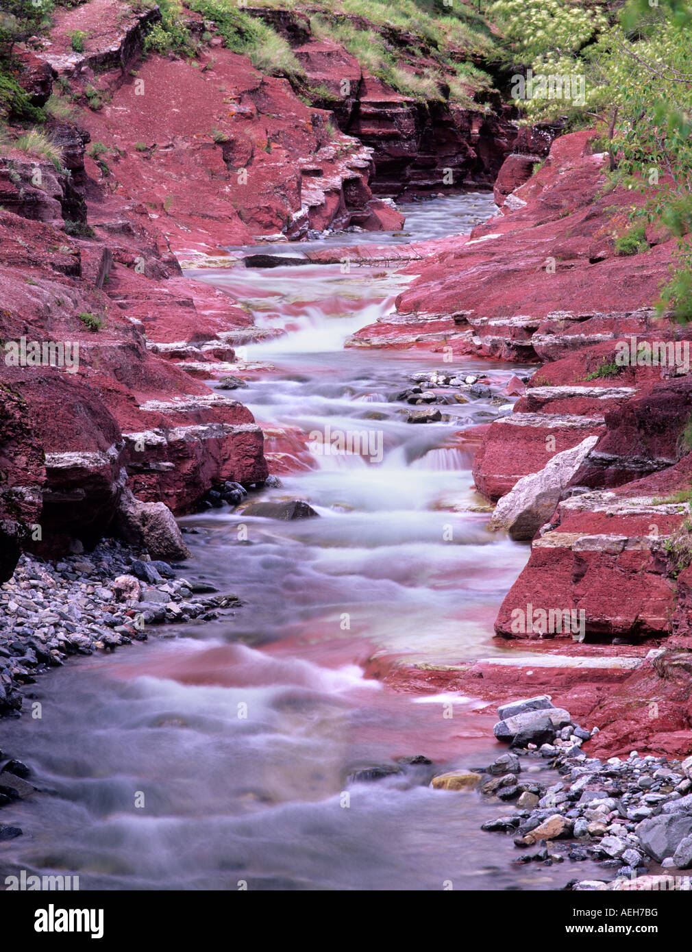 Red Rock Canyon Waterton National Park Canada Stock Photo - Alamy