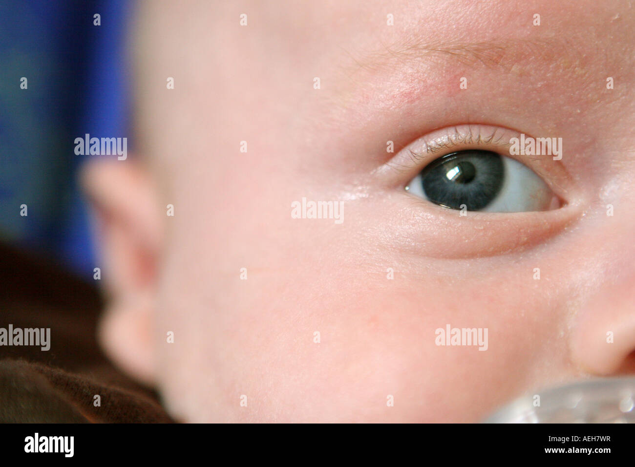 Twinkle eyes hi-res stock photography and images - Alamy