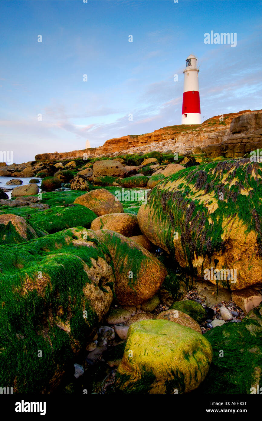 Portland Bill lighthouse at dawn taken from the foreshore amongst the ...