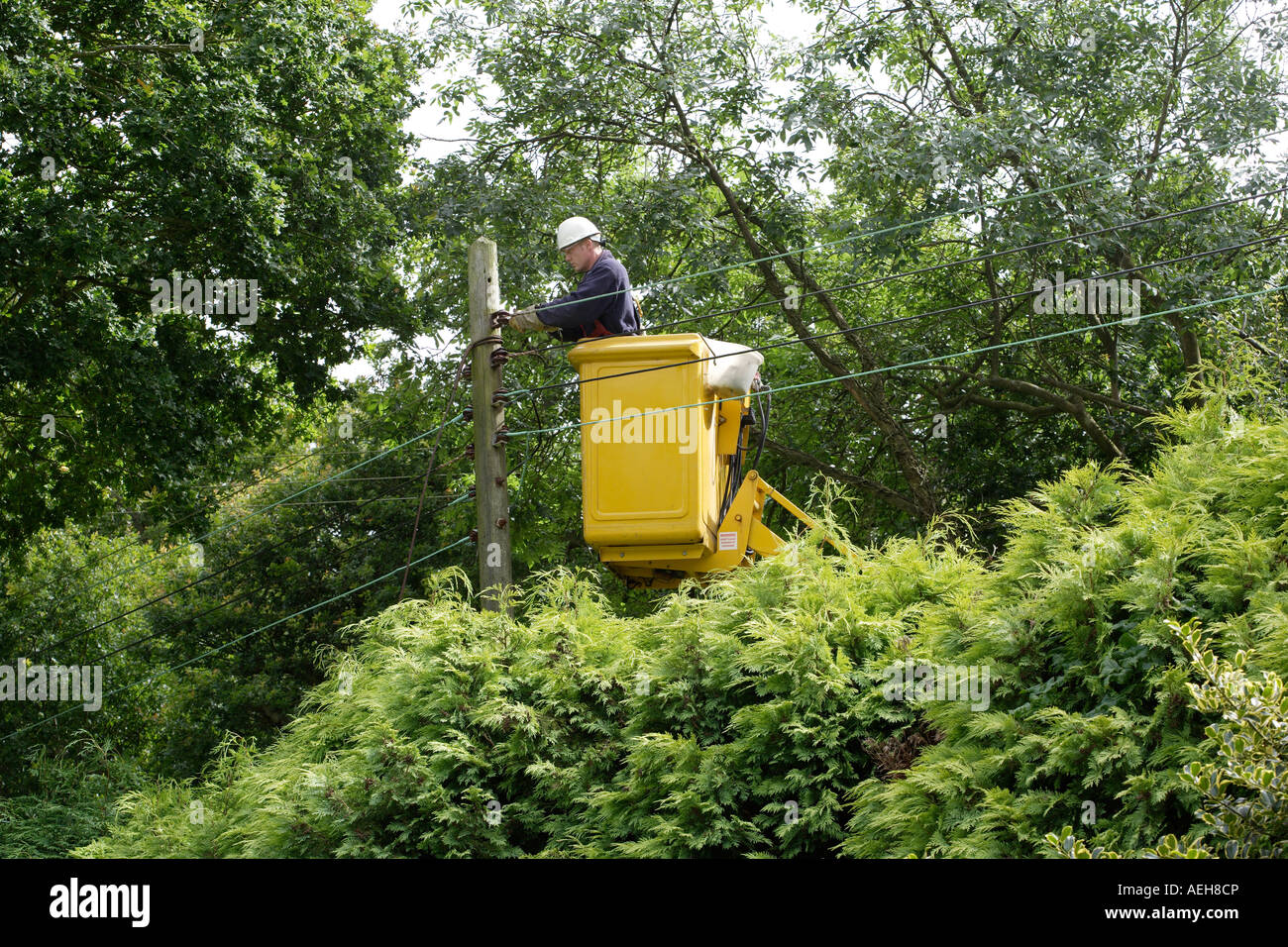 Grid work hi-res stock photography and images - Alamy