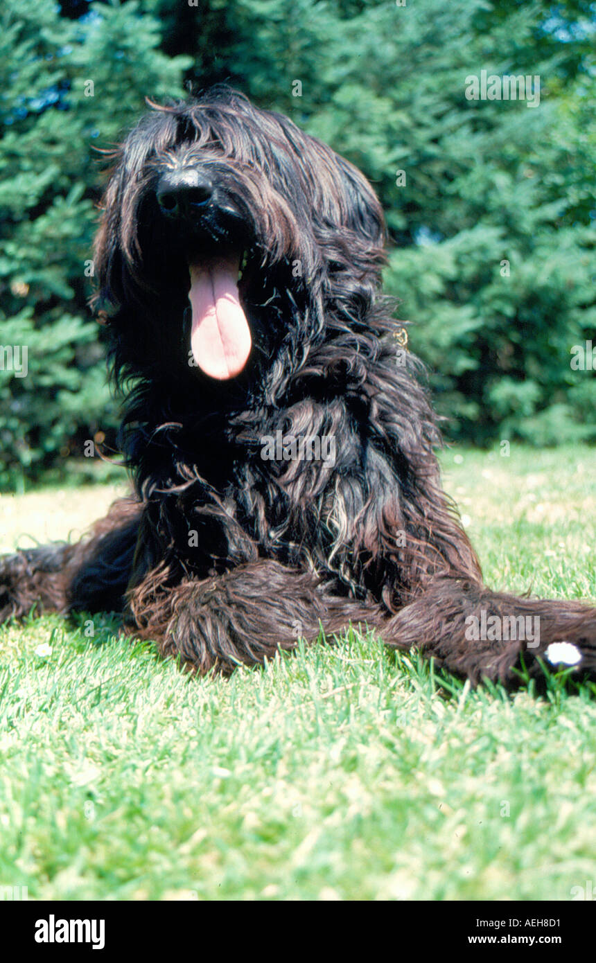 Portraits willy hi-res stock photography and images - Alamy