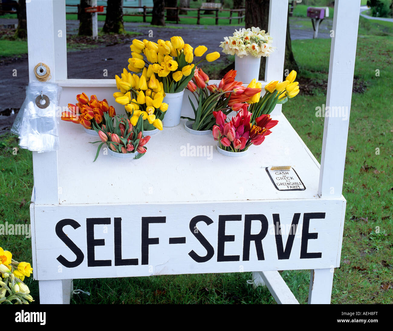 Budding flower stands hi-res stock photography and images - Alamy