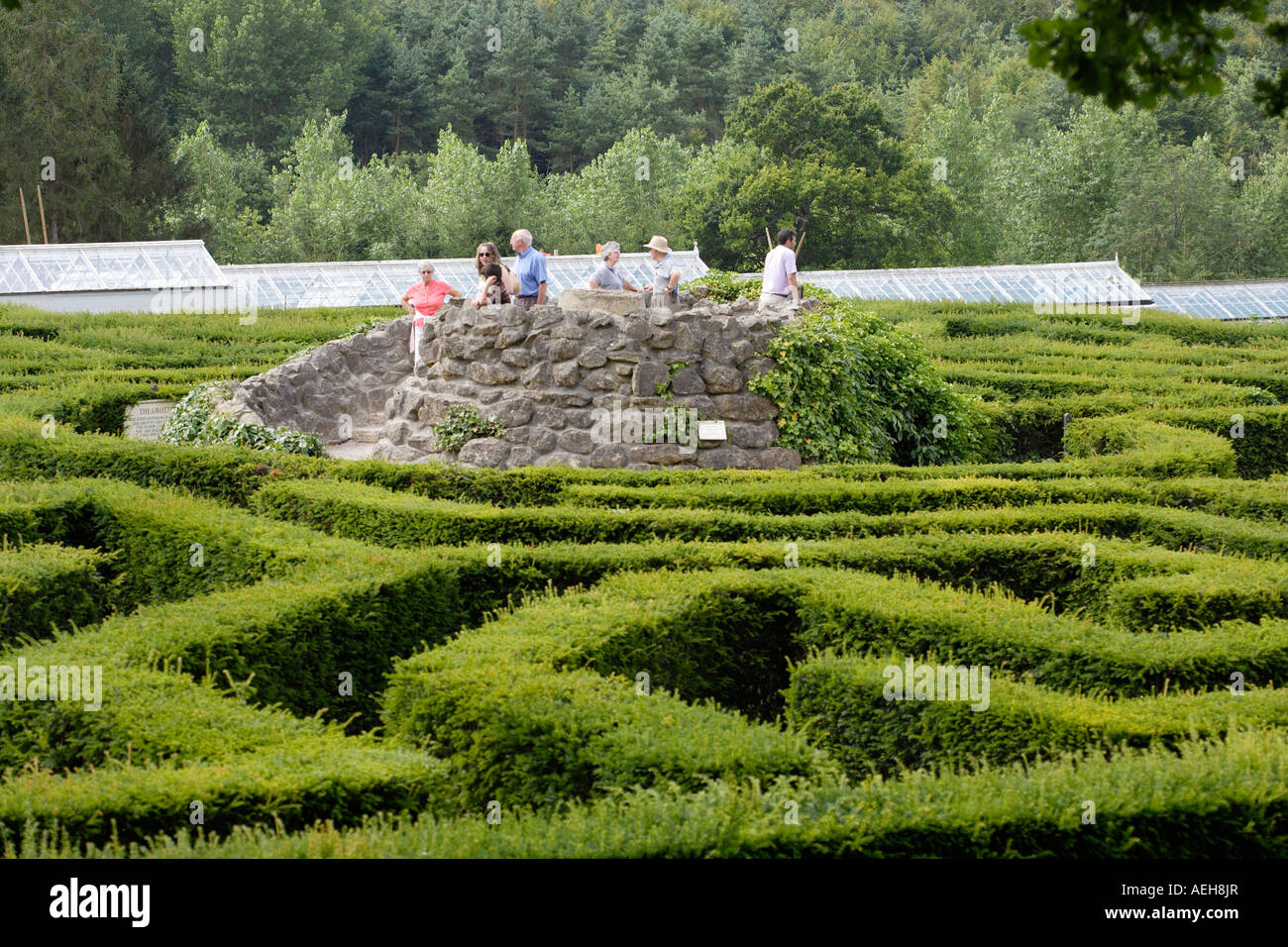 Maze at Leeds Castle Kent England UK Labyrinth Stock Photo - Alamy