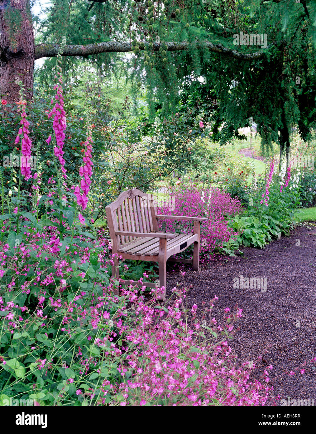 Eugene oregon hi-res stock photography and images - Alamy