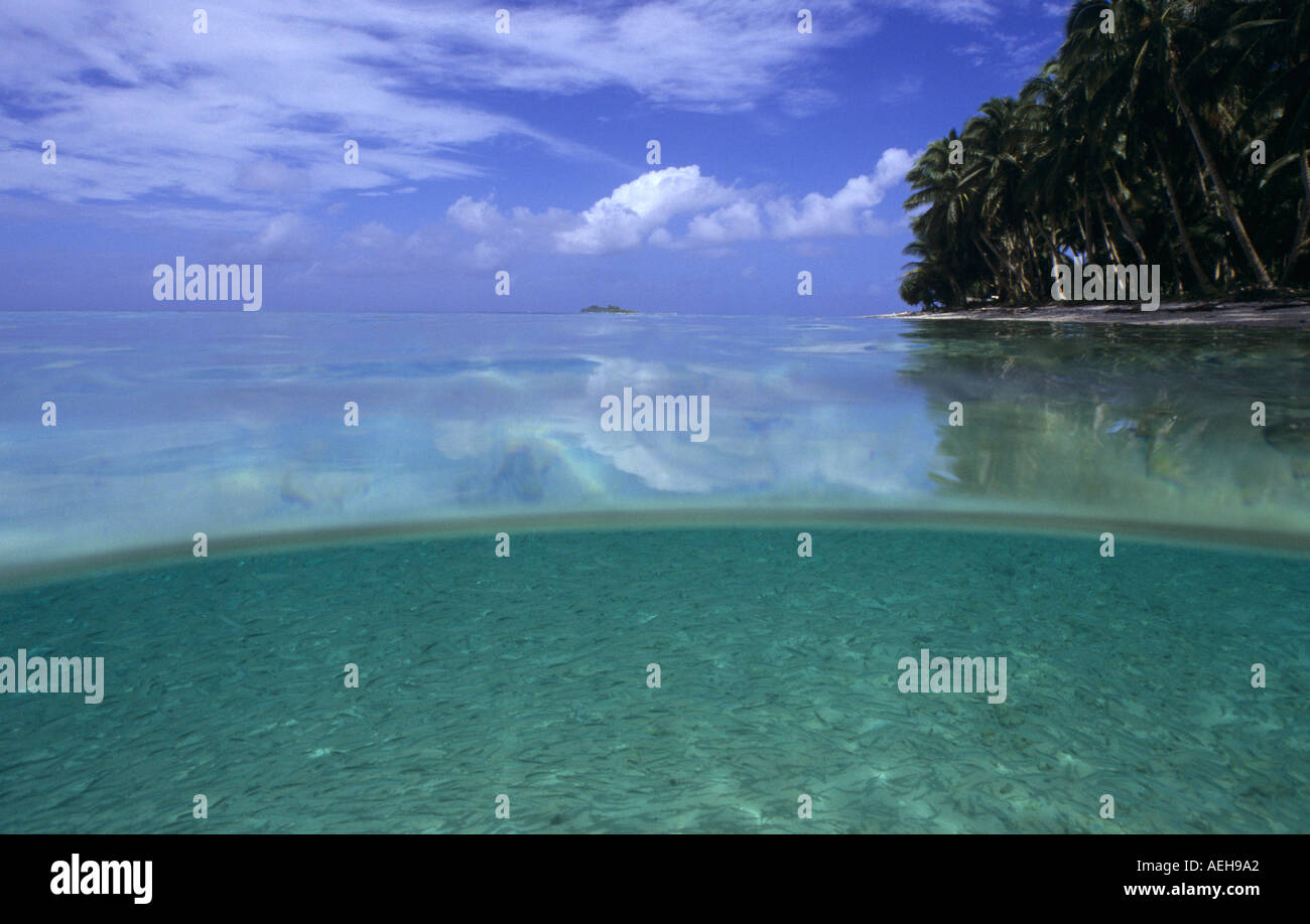 Split Image of beach and silver side fish in the Marshall Islands Stock ...