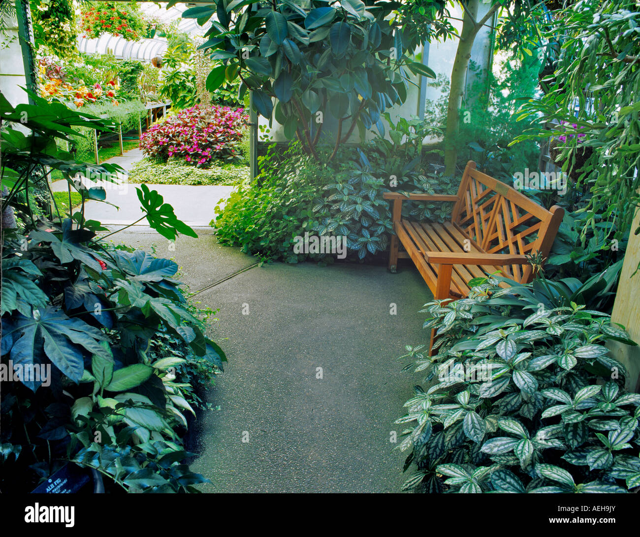 Pathway and bench in Gaiser Conservatory Manito Park Spokane Washington ...