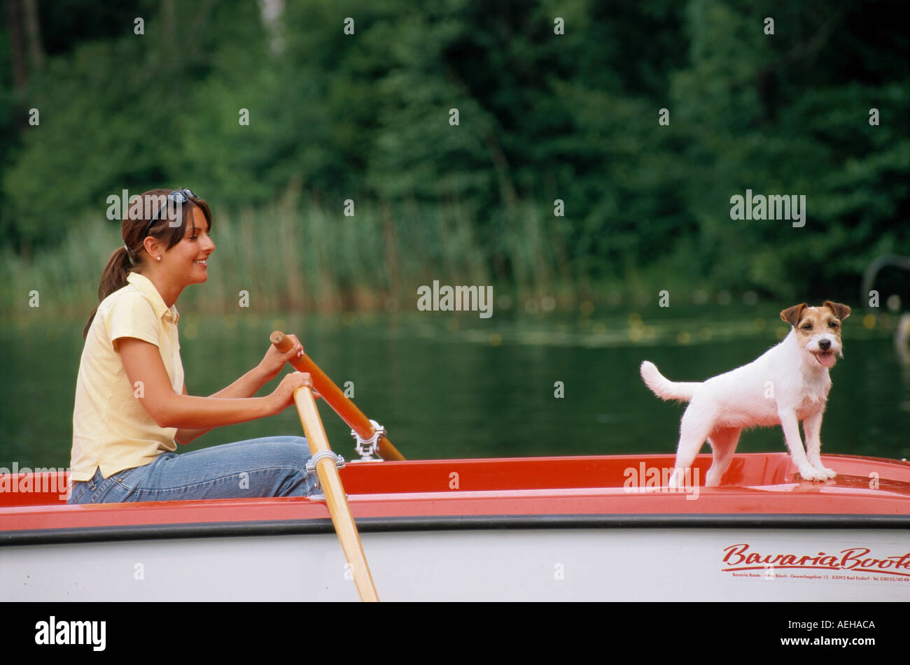 Dog in a rowboat dog in a rowboat hi-res stock photography and images ...