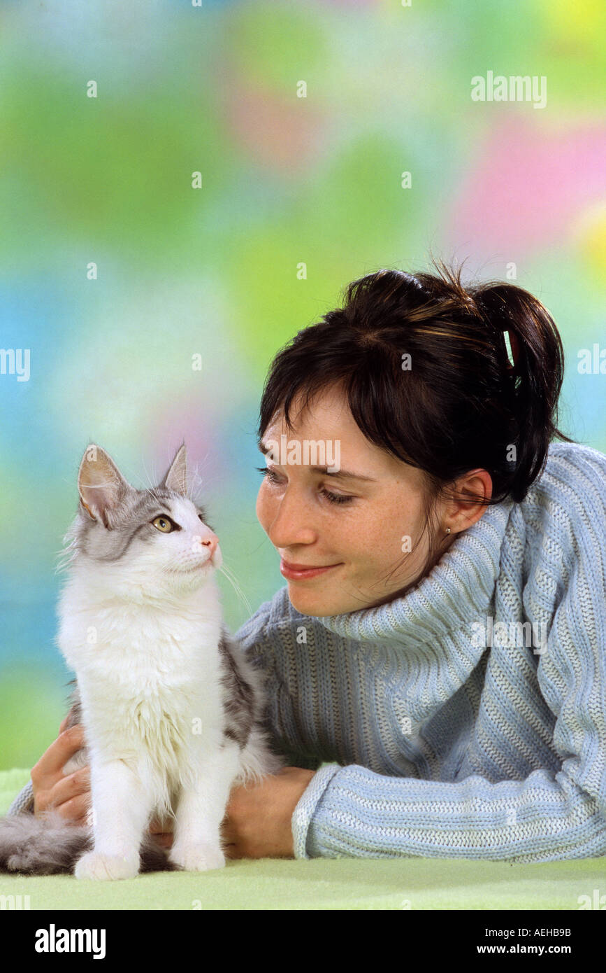 woman and young Norwegian Forest cat Stock Photo - Alamy