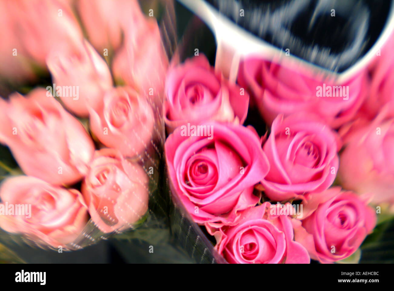 Pink roses for sale Stock Photo - Alamy