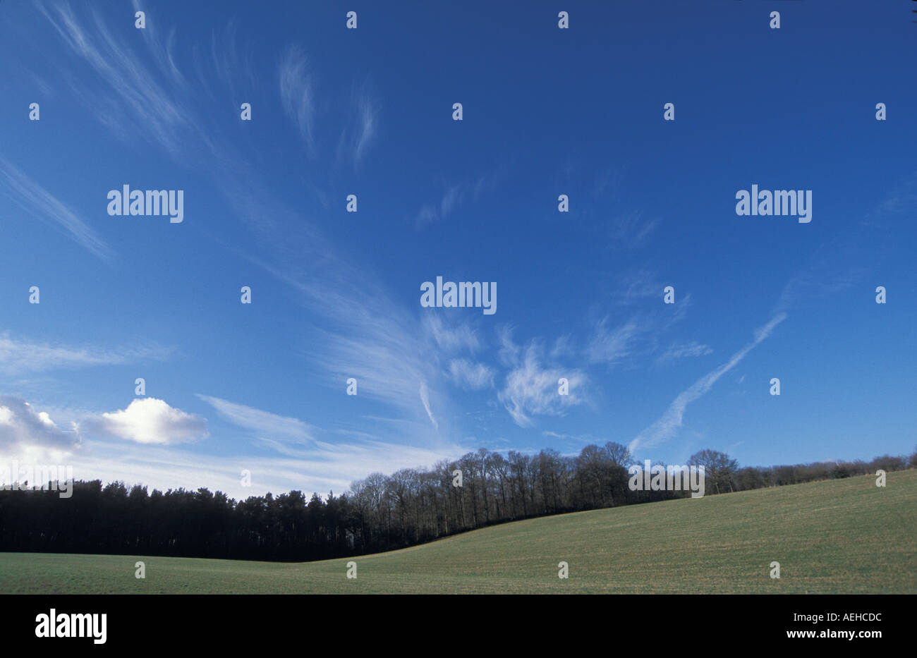 Clear winter sky Stock Photo - Alamy