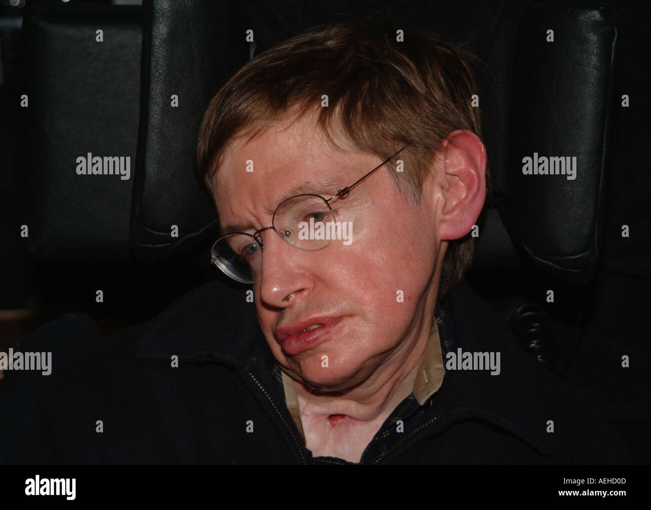 Stephen William Hawking CH CBE FRS FRSA,English theoretical physicist ...