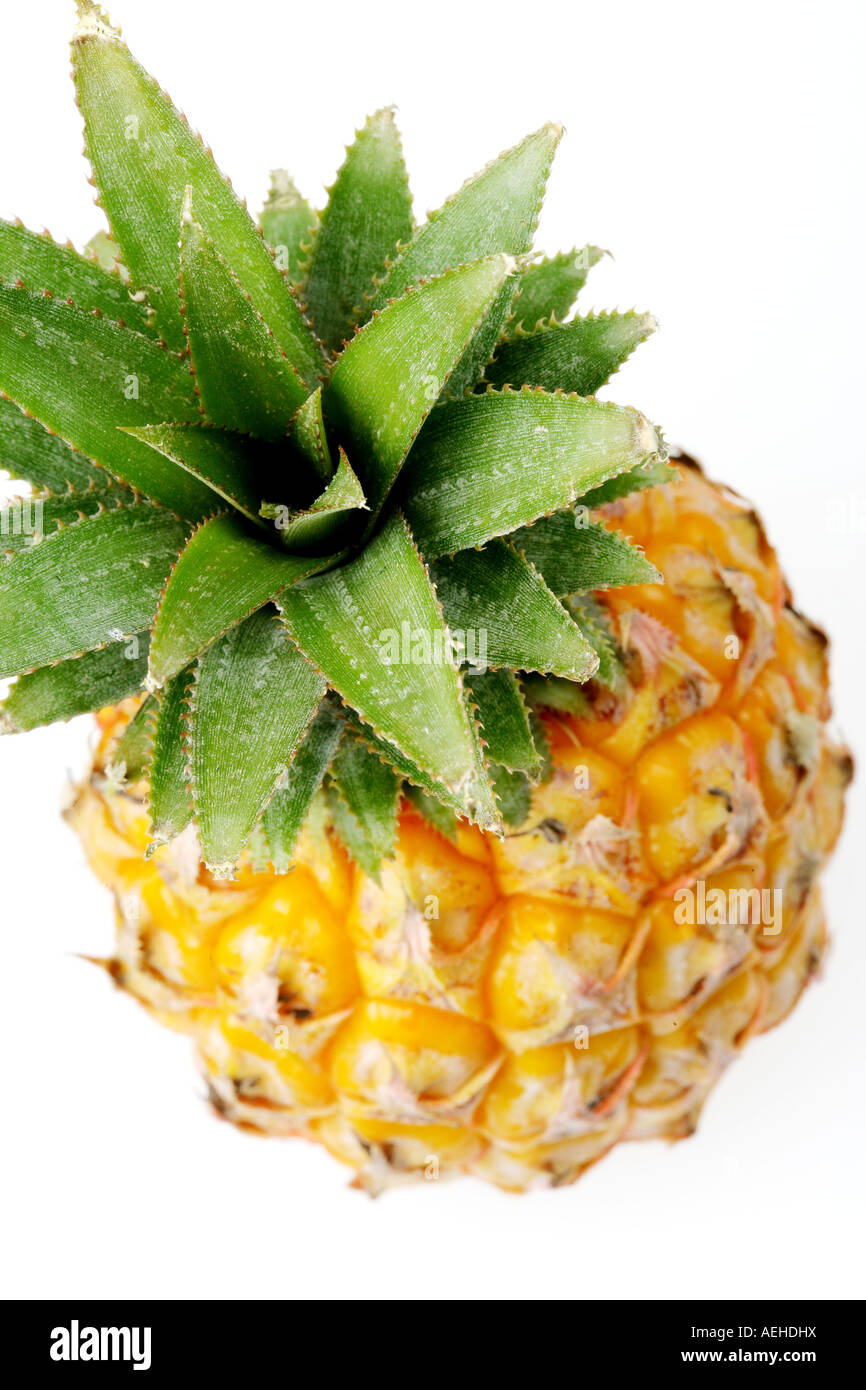 Baby pineapple pineapples exotic tropical fruit fruits healthy food hi-res stock photography and ...