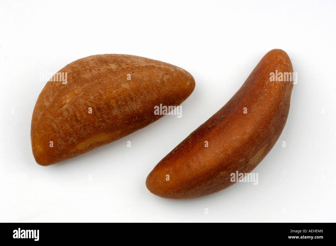 Two brazil nuts Stock Photo - Alamy