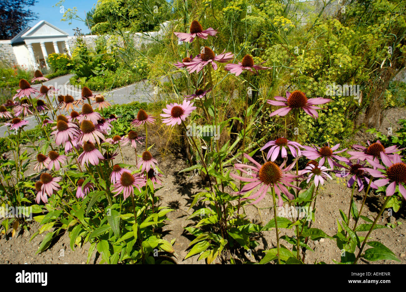 Herb physic garden hi-res stock photography and images - Alamy