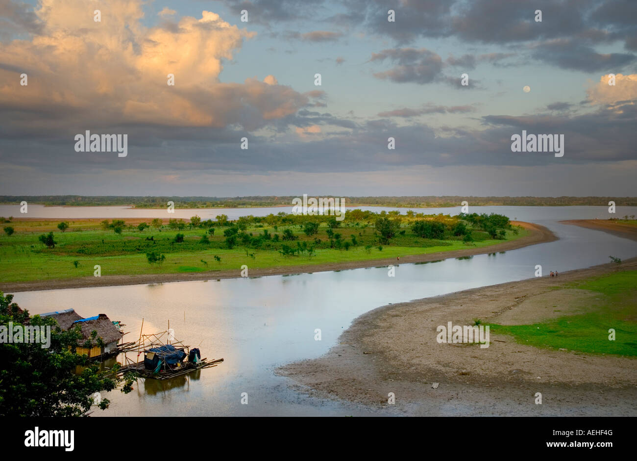 Amazon River Floodplain Stock Photo - Alamy