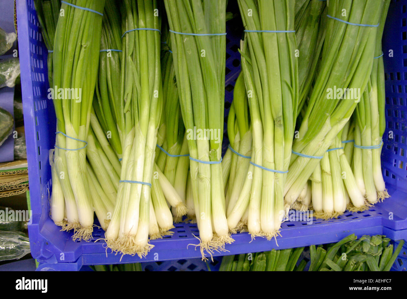 Fresh Spring Onions at a market stall Stock Photo - Alamy