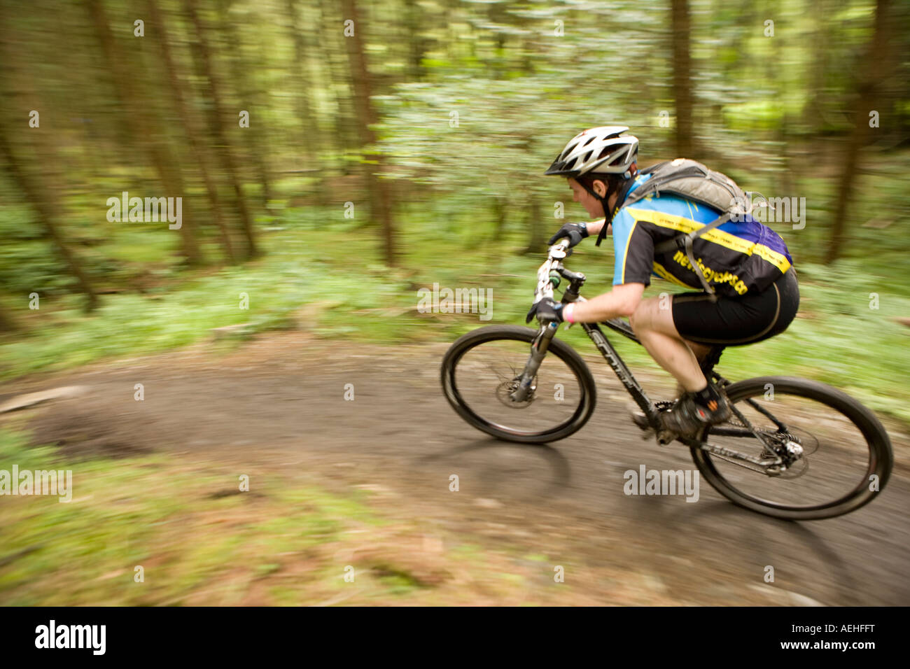 Mountian biking biker cycling through Kirroughtree Forest part of the ...