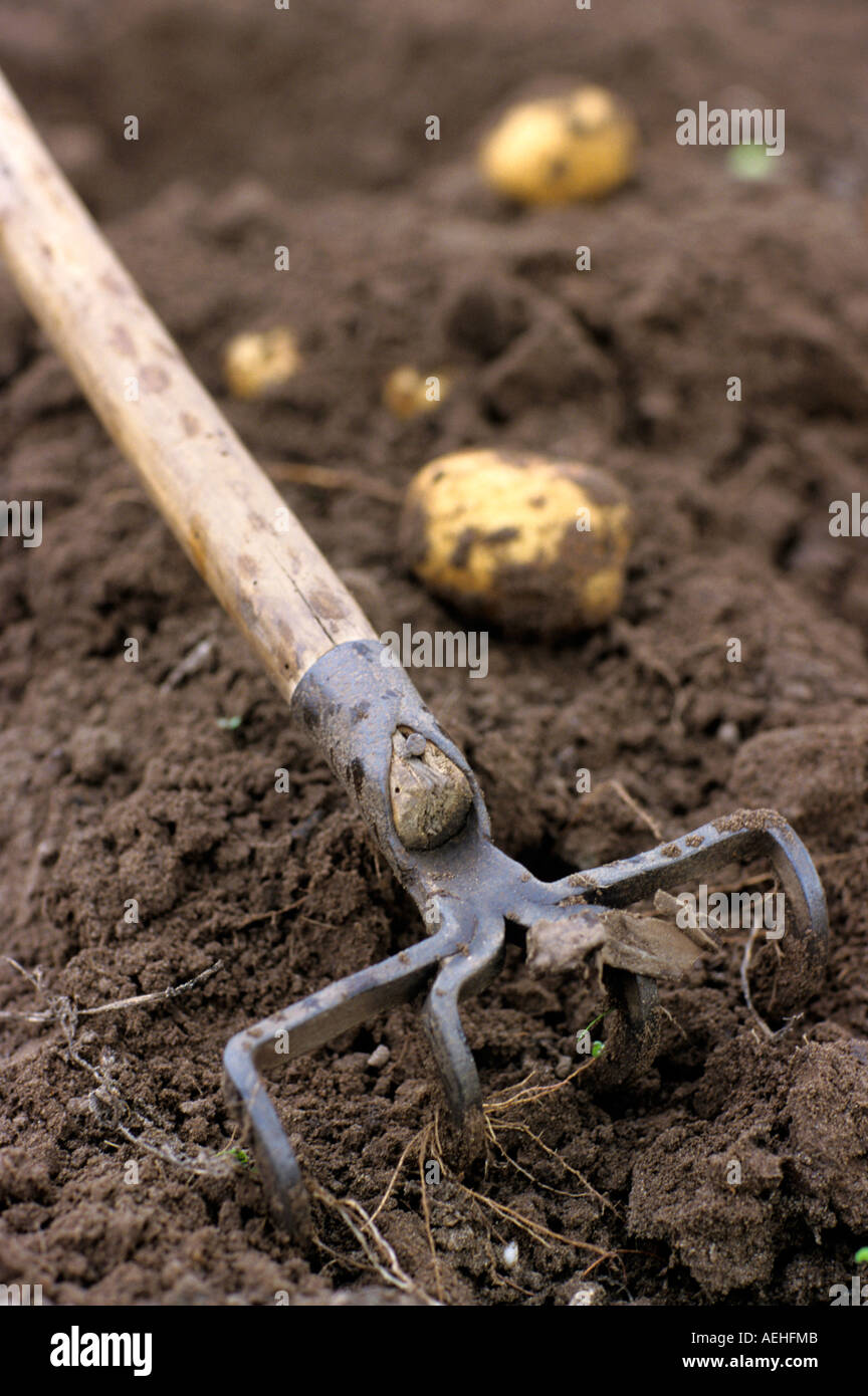 Field mess food hi-res stock photography and images - Alamy