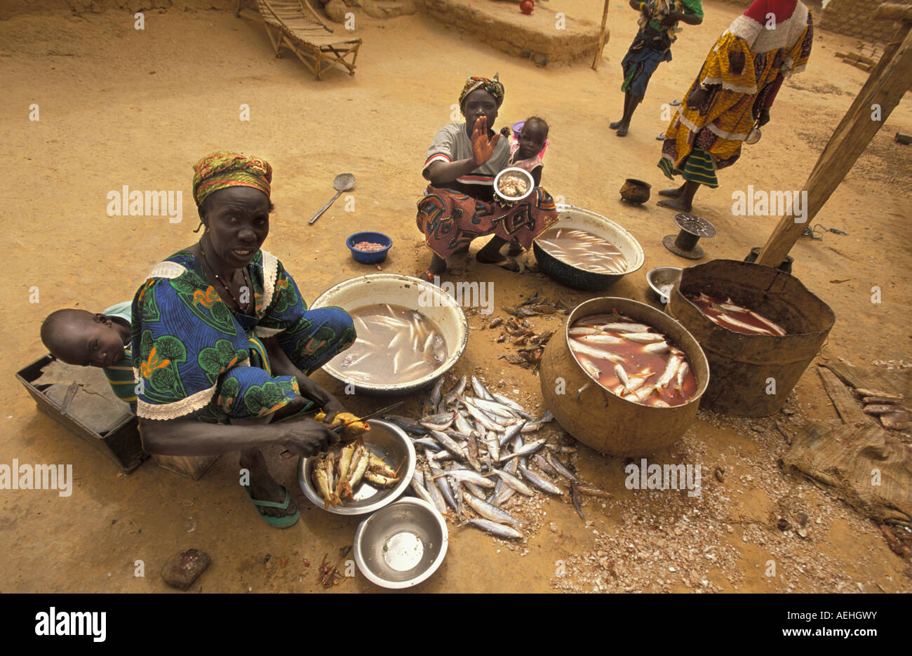 Mali Bamba, Women of Sonrai tribe cleaning fish Stock Photo - Alamy