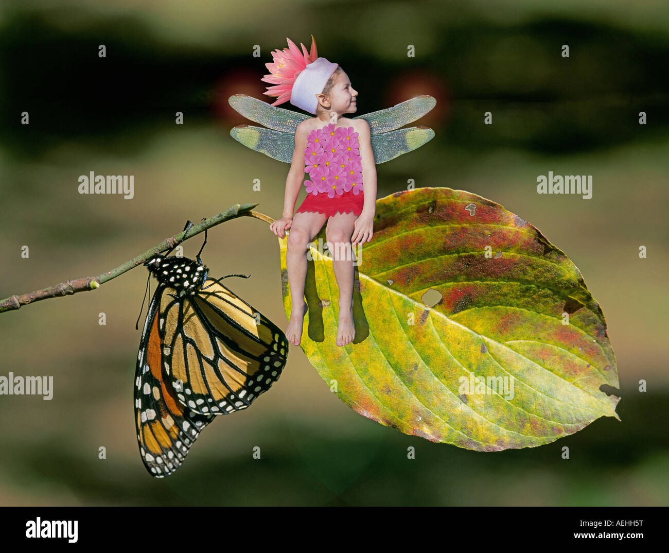 A flower fairy on a on a branch with a monarch butterfly Stock Photo ...