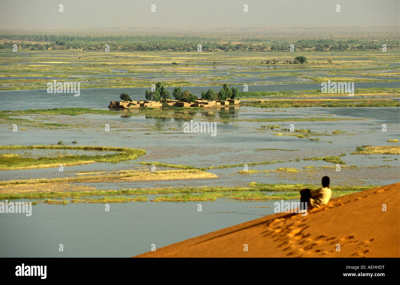 Gao tree niger hi-res stock photography and images - Alamy