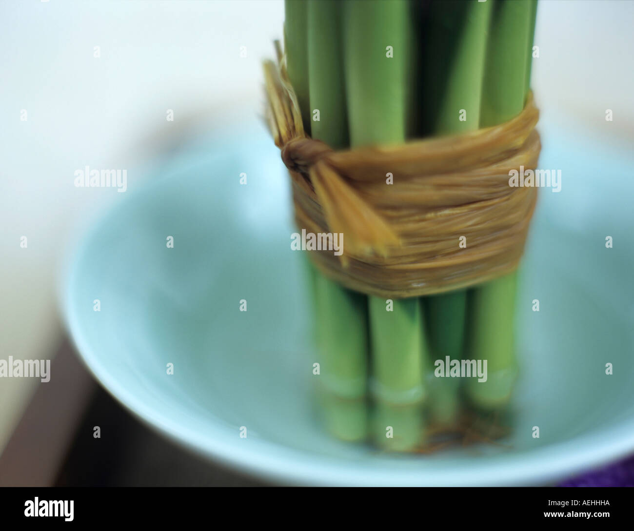 Bast Images High Resolution Stock Photography and Images - Alamy