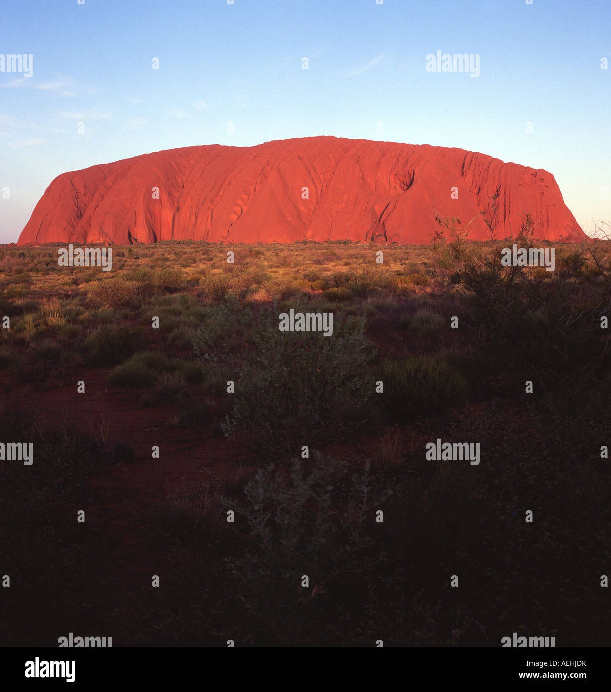 Uluru and trees Stock Photo - Alamy