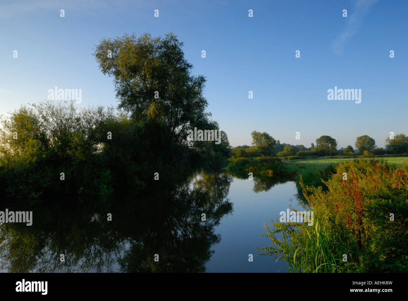 Grantchester Meadows and the River Cam at sunrise, Cambridge England UK ...
