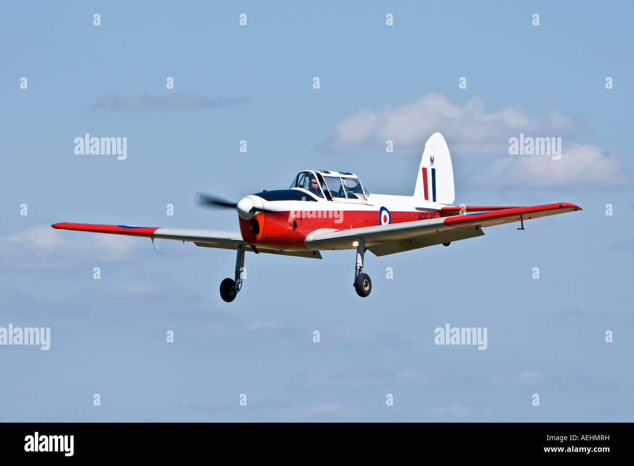 T67 firefly hi-res stock photography and images - Alamy